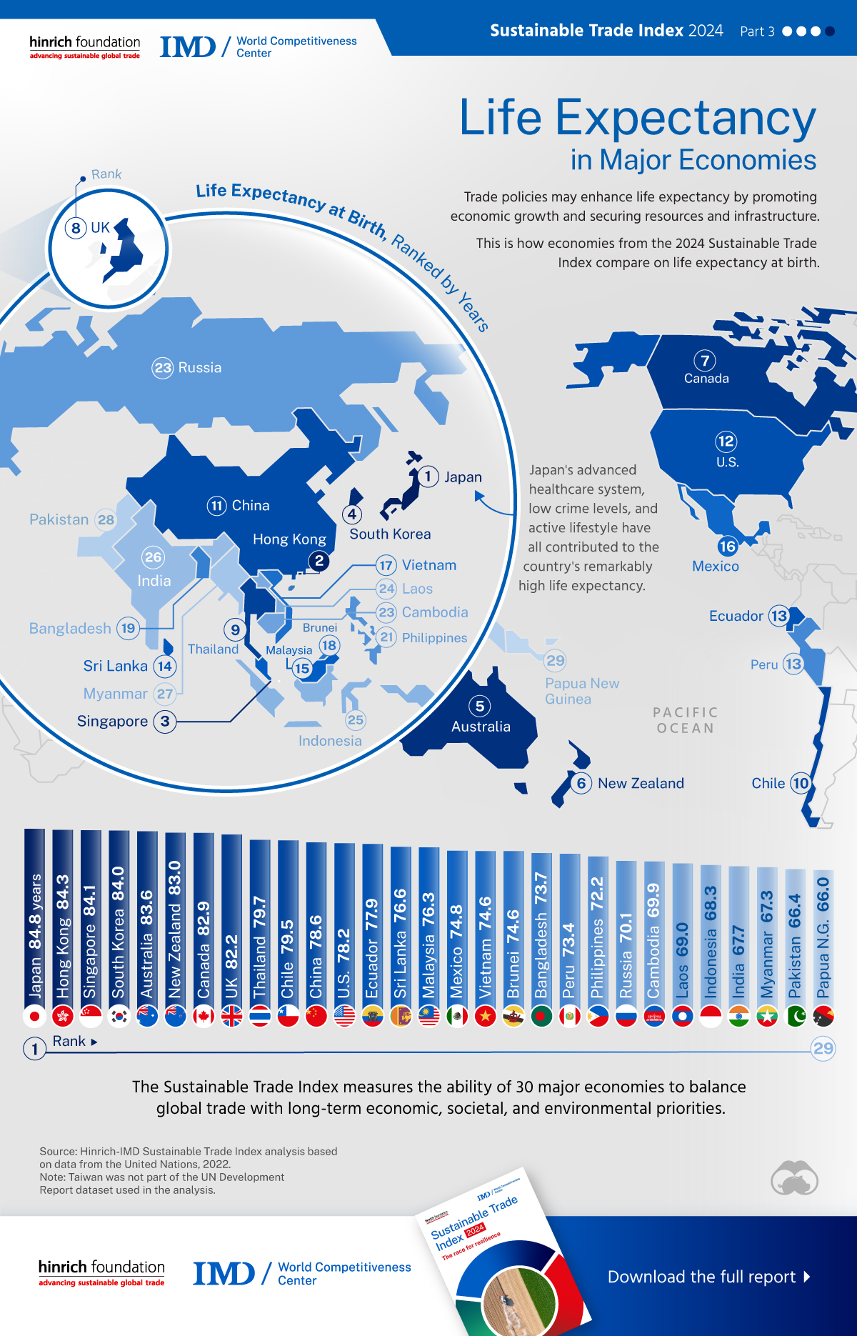 IDV 2025 Assignment 2